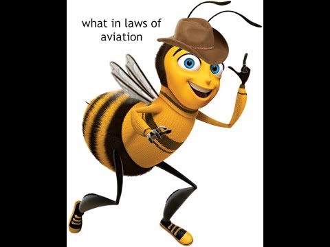 Steam Community :: Video :: Overwatch - bee fax