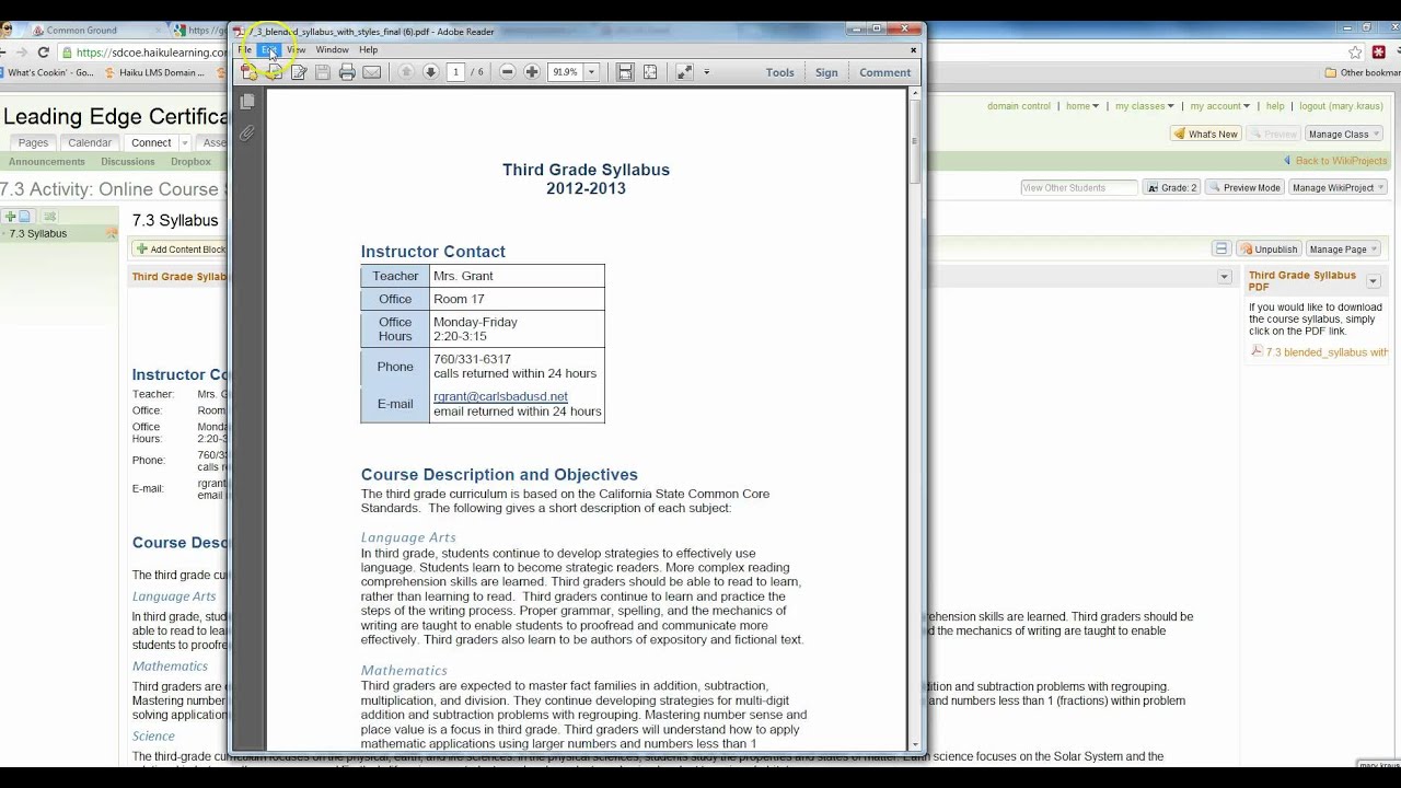 accessibility check in pdf