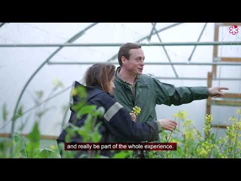 Cornwall’s Crocadon Serves Up Michelin Star Dining With a Twist