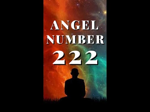 222 Angel Number Shorts