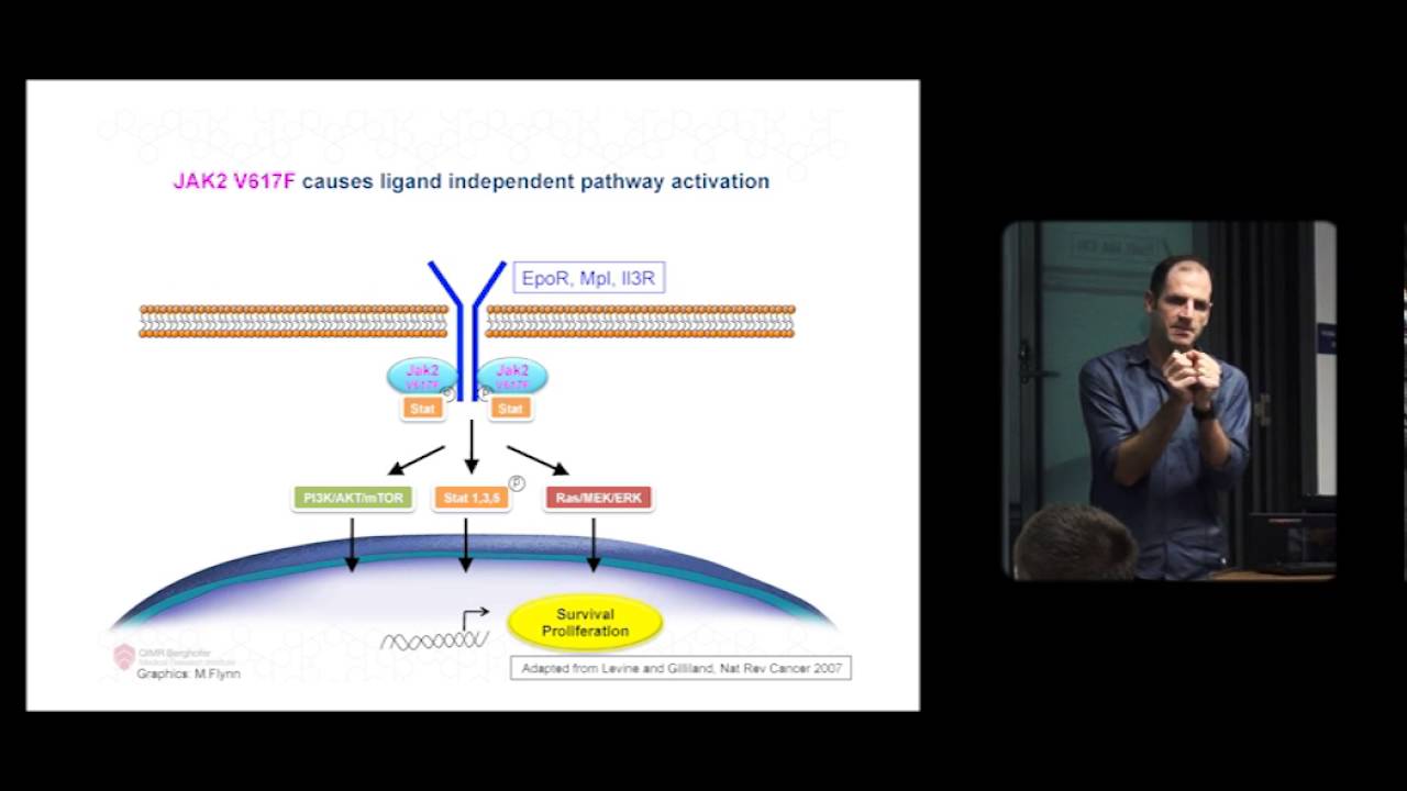 MPN Video Presentations - MPN Alliance Australia