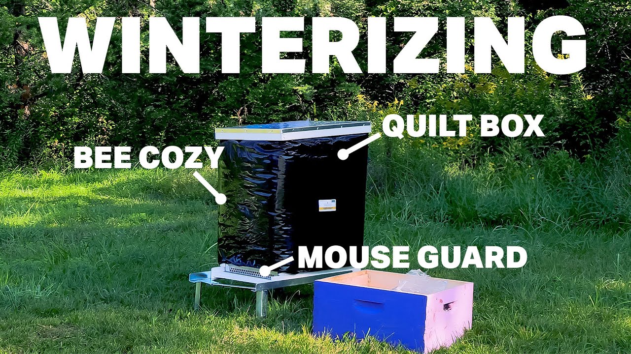 Winter Beekeeping Prep – Bee Hive Wraps & Cold Weather Tips