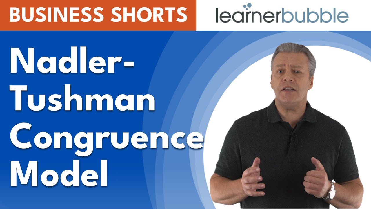 Understanding the Nadler-Tushman Congruence Model for Organizational ...