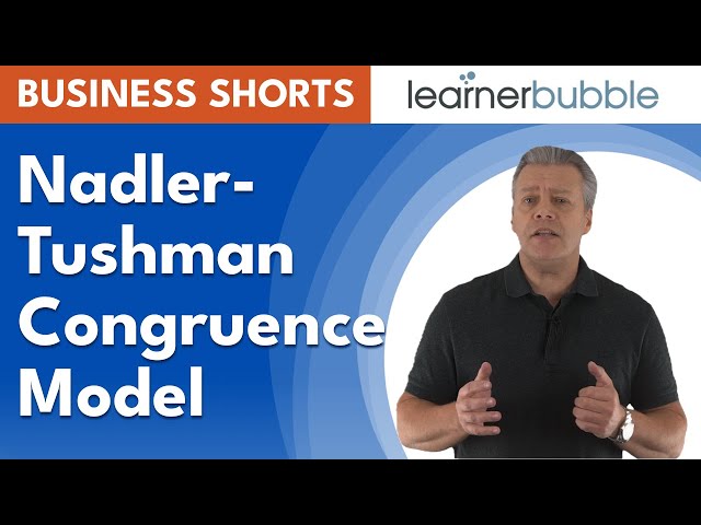 Understanding the Nadler-Tushman Congruence Model for Organizational ...