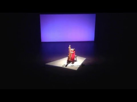 Harpe chinoise Konghou : Wu LIN, Harpes au Max Ancenis Festival 2016
