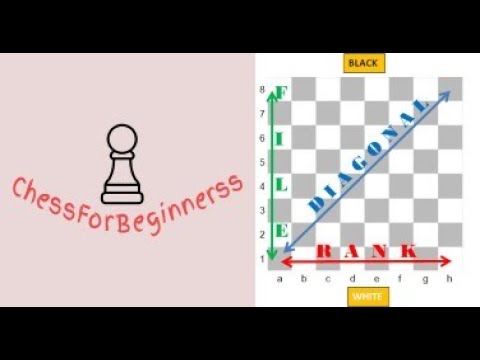 Basics:Ranks,files and diagonals in a chess board.