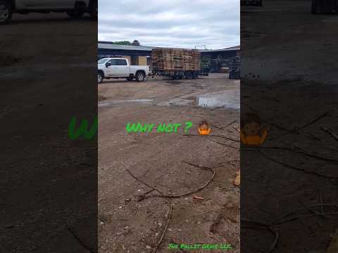 200 Clip delivered #palletbusiness #truck #pallets #shorts #shipping #bigtex #delivery #Arkansas