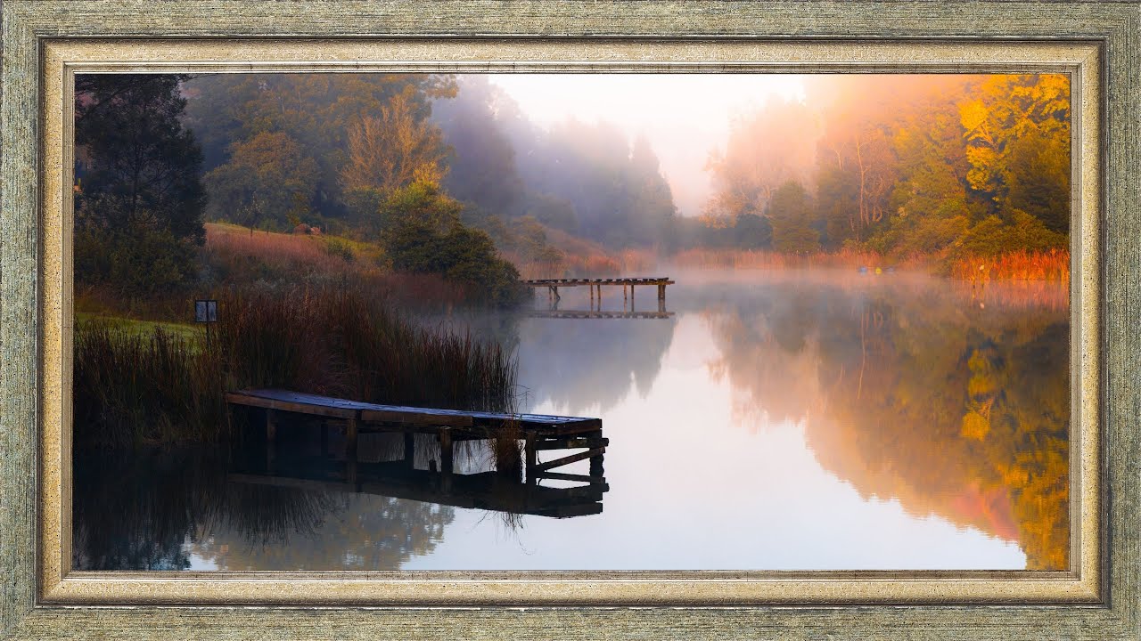 Forest Lake | Real Photo Framed | No AI | 4K Screensaver