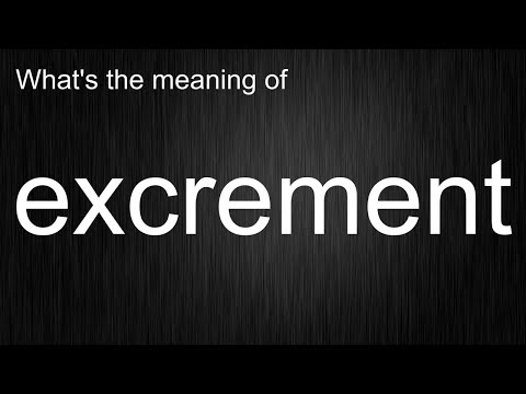 What's the meaning of "excrement", How to pronounce excrement?