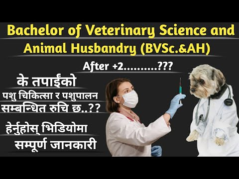 Bachelor of Veterinary Science and Animal Husbandry (BVSc.&AH) in Nepal || full information||2021||