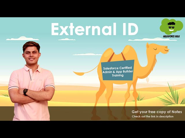 External ID in Salesforce: Benefits Features & Use Cases | S2 Labs