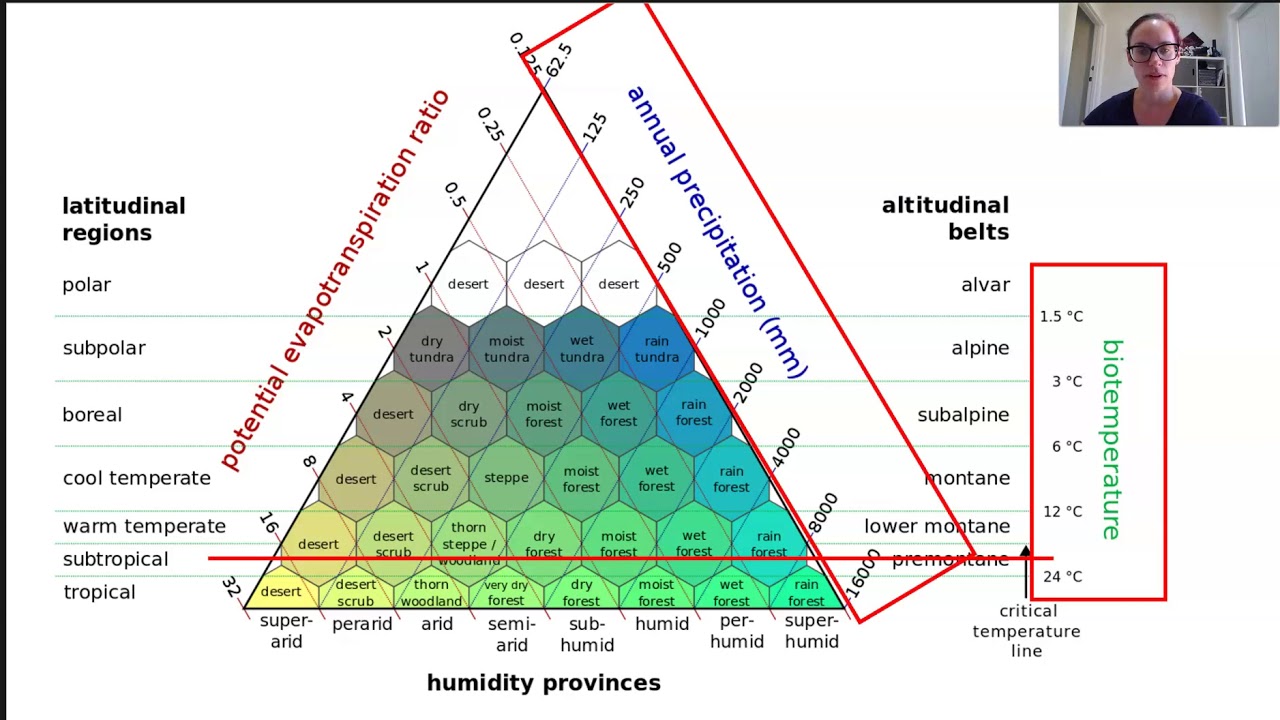 Ecosystem classification (Part 2)