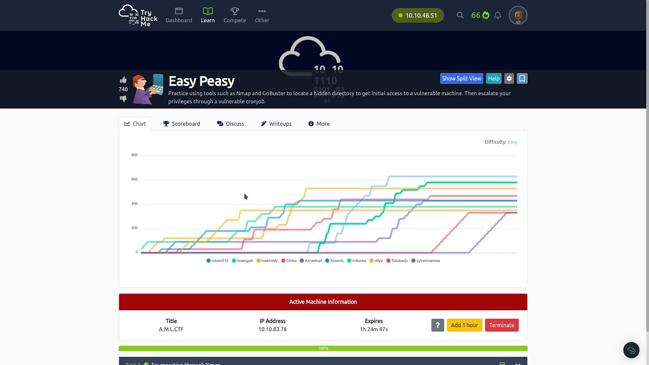 TryHackMe Easy Peasy: A Complete Walkthrough