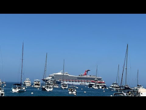 Carnival Cruise #viral #trending #cruise # cruiseship