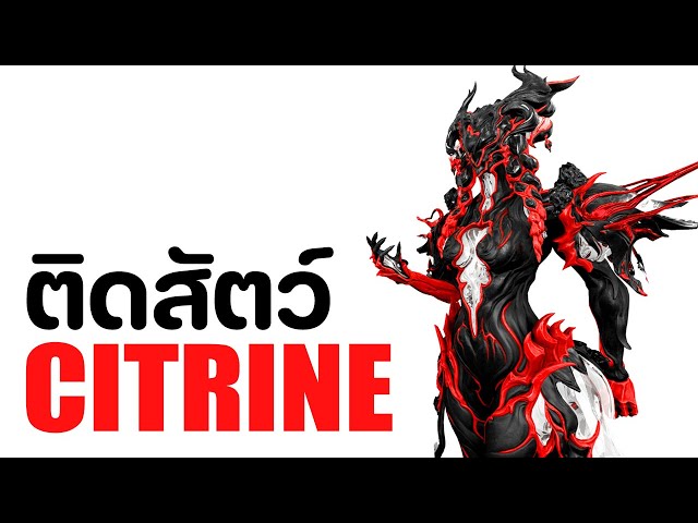 CITRINE【 ติดสัตว์ ด้วยเพชรย้อม สีรุ้ง 】- WARFRAME | วิดีโอครีเอเตอร์ :: OS