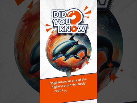 3 Amazing Facts About Dolphins 🐬 | Incredible Dolphin Facts You Didn't Know! #dolphin #amazingshort
