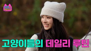 [정보/소식] 미야오 자컨 EP.2 - 인스티즈(instiz) 연예 카테고리