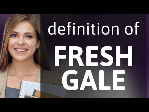 Fresh gale | definition of FRESH GALE