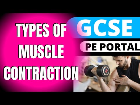 Muscle Contraction Types - Isometric, Concentric, Eccentric