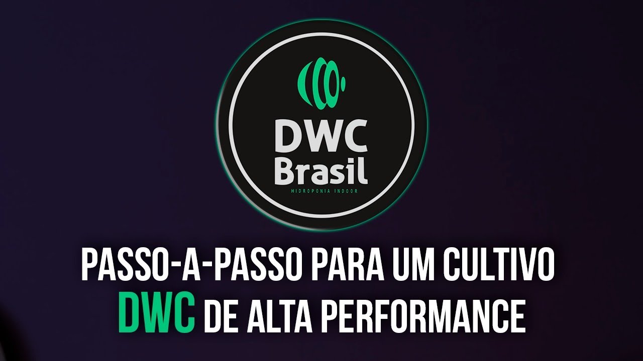 Passo a passo para um cultivo DWC de alta performance