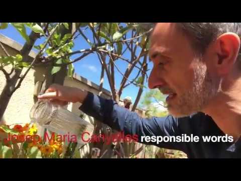 [responsible words] Responsibility
