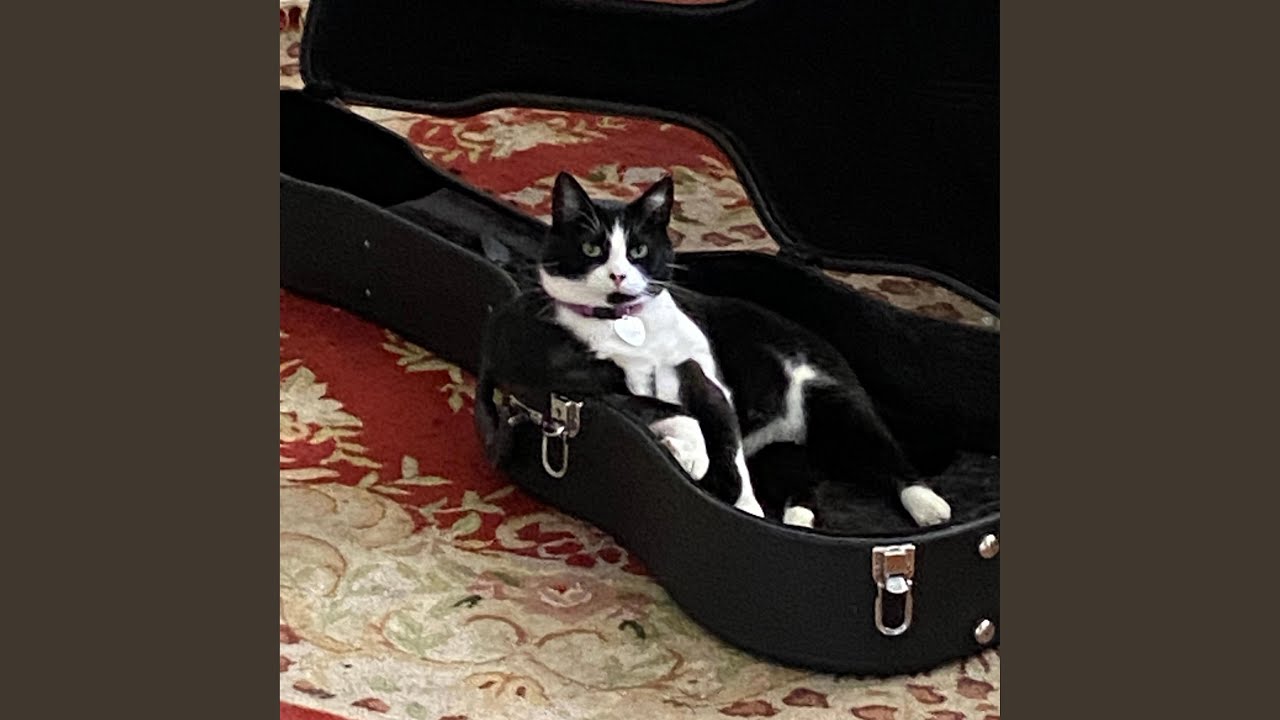 Maybe There Are No Answers