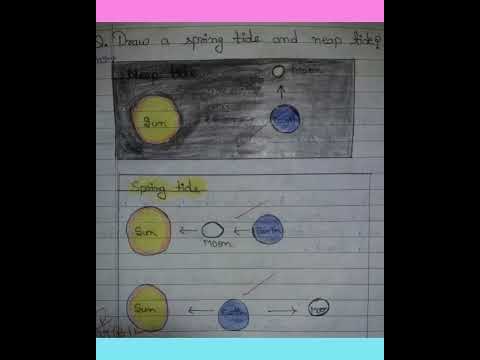 DIAGRAM OF SPRING TIDE AND NEAP TIDE