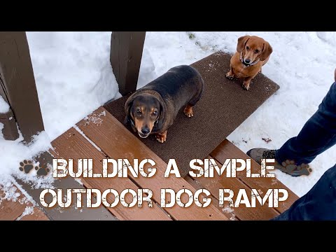 DIY Outdoor Dog Ramp : Simple Build : Dachshund Ramp : Ramp over Stairs : Removable