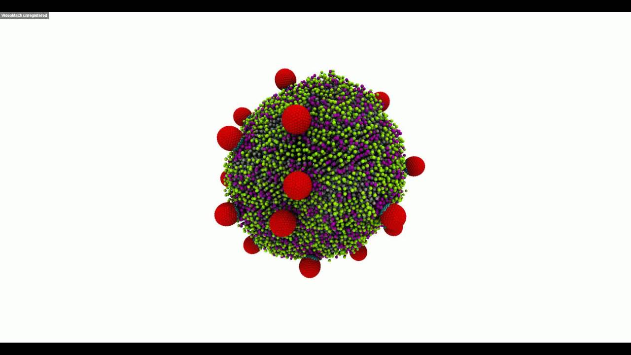 Electrostatically-induced adsorption of charged patchy nanoparticle