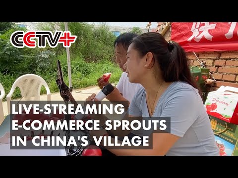 Village Achieves Prosperity Through Live-Streaming E-Commerce in Northwest China