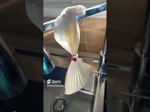 Labneh (A thicker Mediterranean Yogurt)
