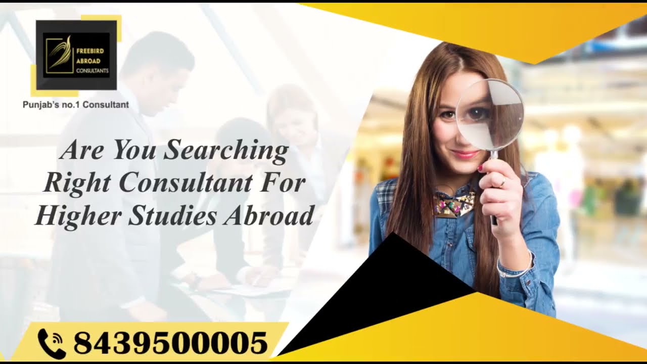 Choose Right Consultant for Your Higher Studies - Freebird Abroad Consultants