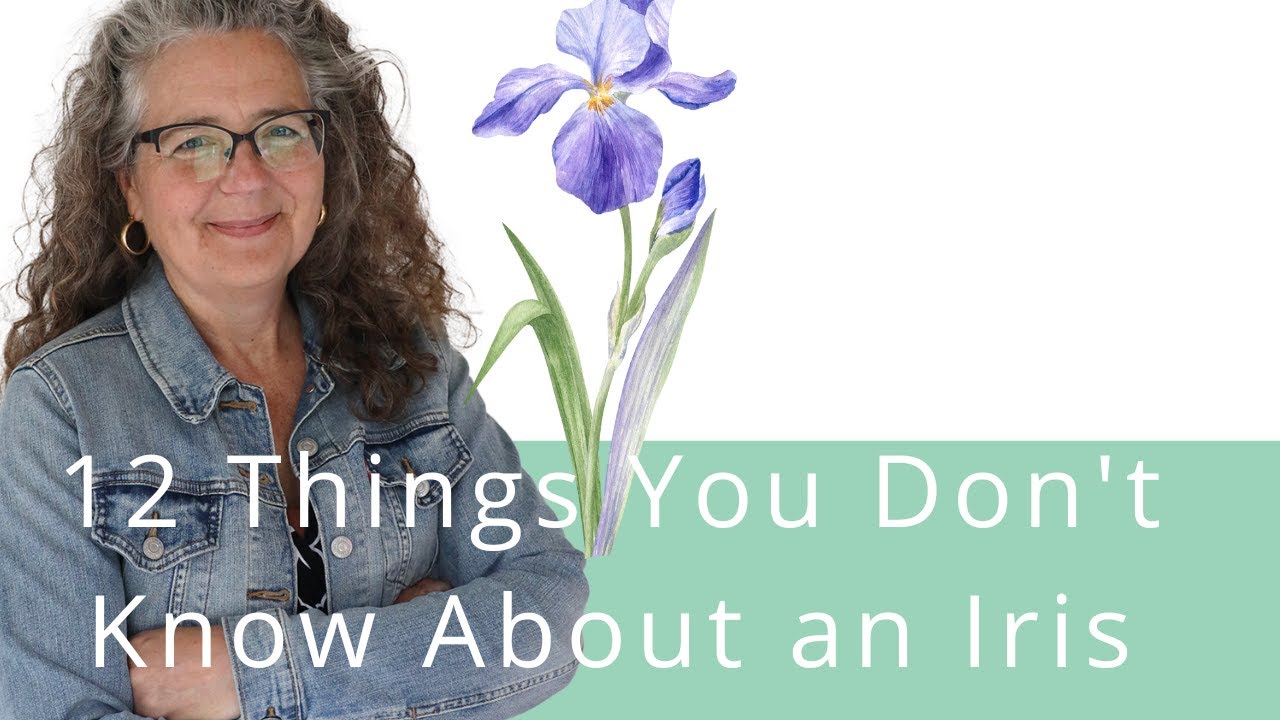12 Things You Don't Know About an Iris