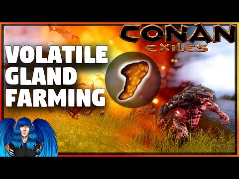 Steam Community :: Video :: HOW TO GET LOTS OF VOLATILE GLANDS | Conan Exiles Isle Of Siptah