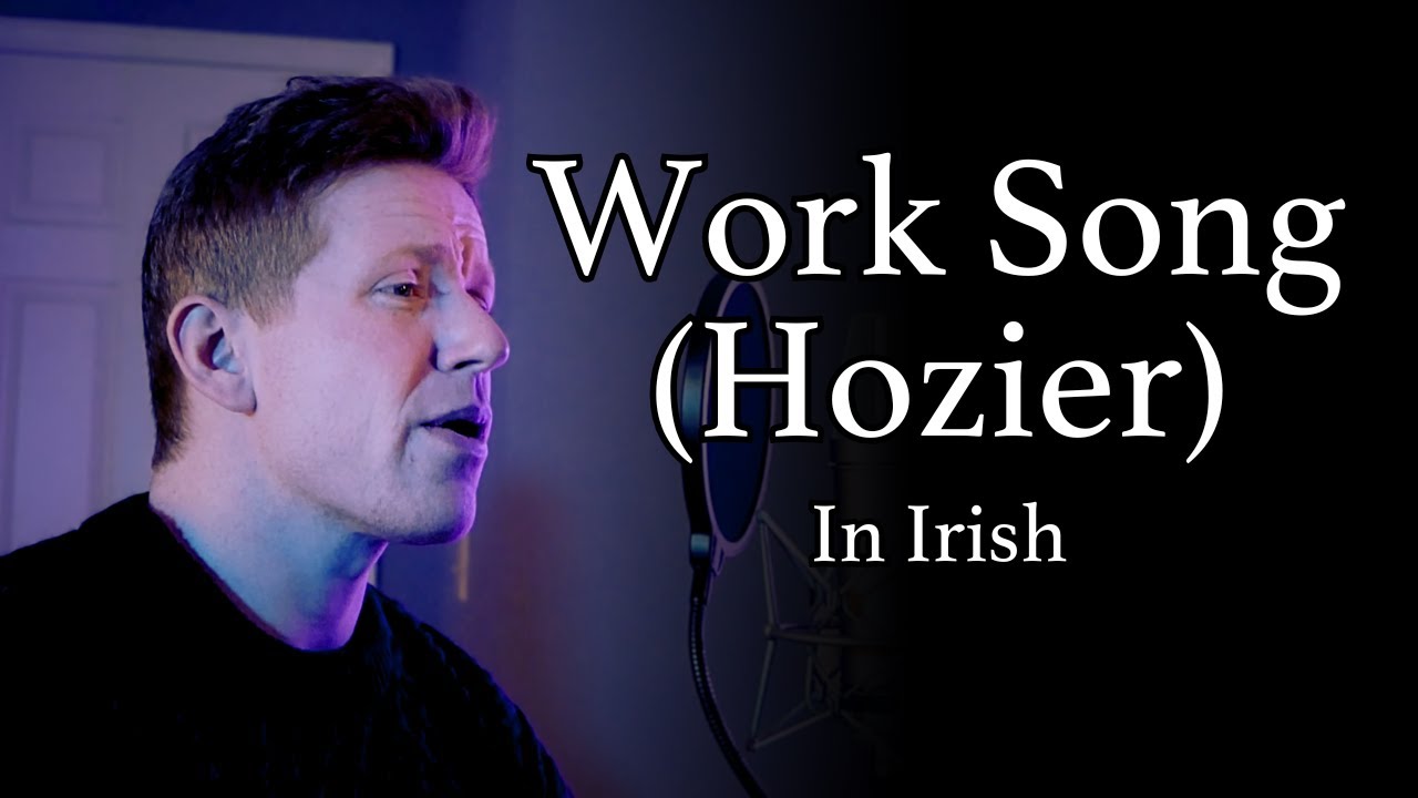 WORK SONG - HOZIER (Cover) - Colm R. McGuinness