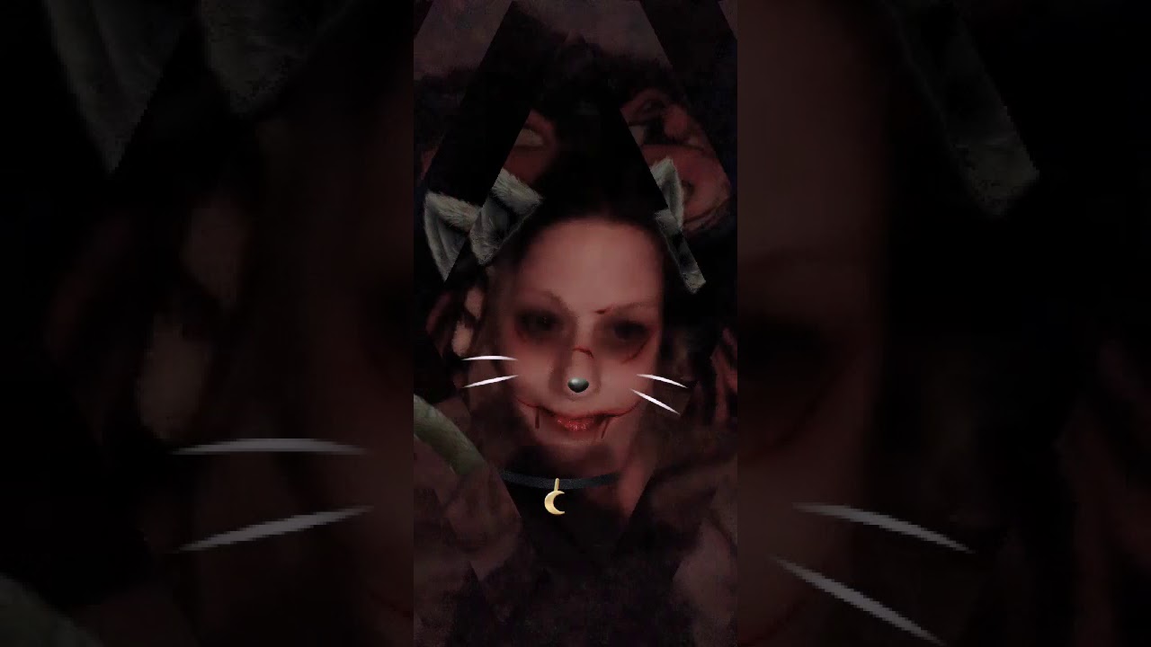 Kitty