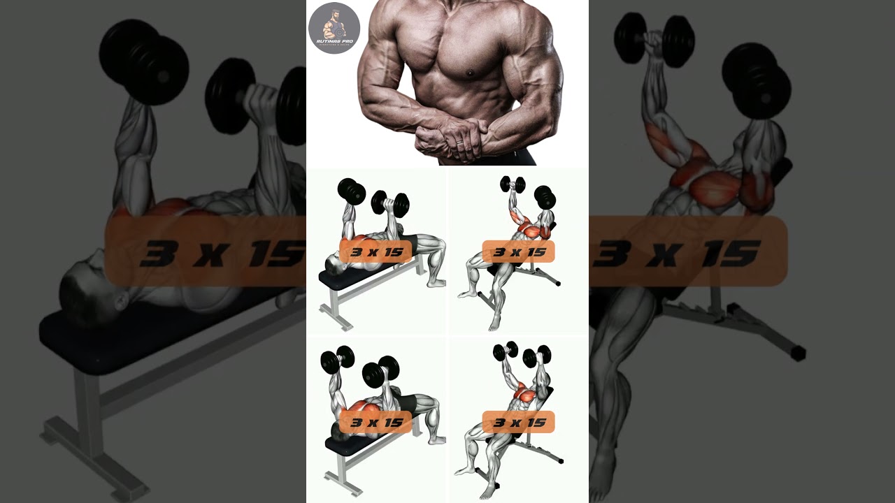 LOS MEJORES #EJERCICIOS PARA #PECHO CON #MANCUERNAS | #gym #gymworkout #chestworkout