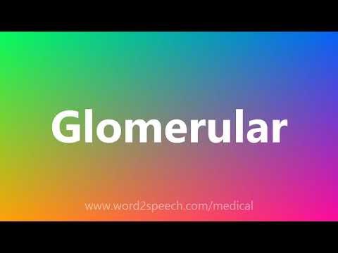 Glomerular - Medical Meaning and Pronunciation