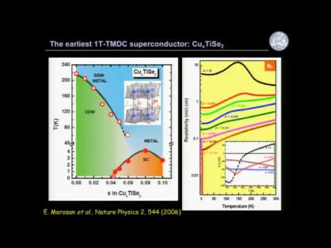 Vidya Madhavan: Interpaly between Charge Density Waves, Domain Walls, and Superconductivity