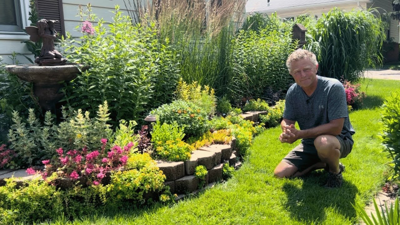 Ground Cover Sedum | So Many Great Ways To Enjoy This (must have) Perennial