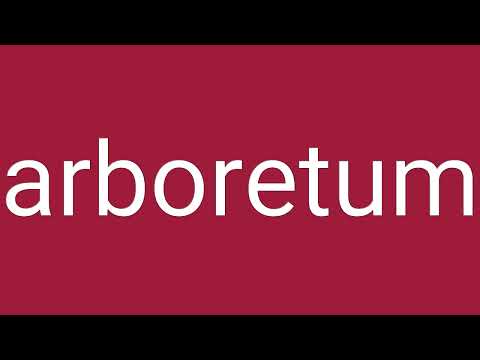 Arboretum Definition & Meaning