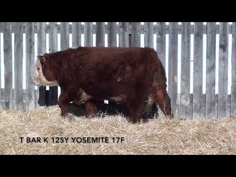 T-Bar-K 17F -T Bar K Ranch 2019.mp4