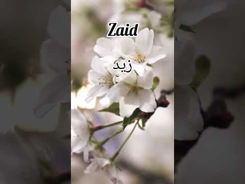 zaid name meaning #islamicvideo #islamic