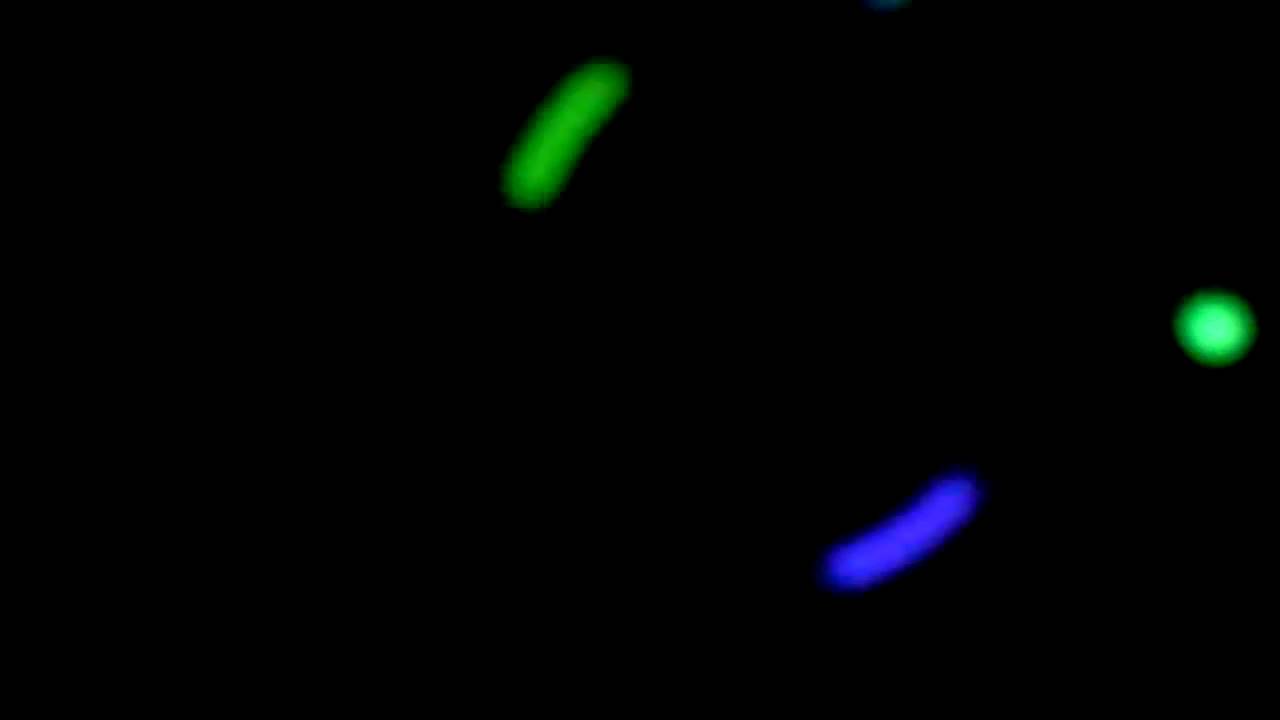 glow bug dance 3 11