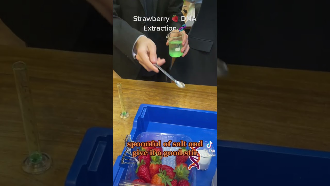 Extracting DNA from a 🍓