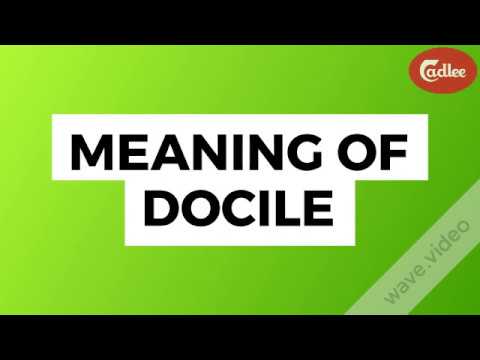 DOCILE - English Word Meaning, Synonyms, examples (asked in GRE, GMAT, IELTS, TOFEL, SAT, PTE)