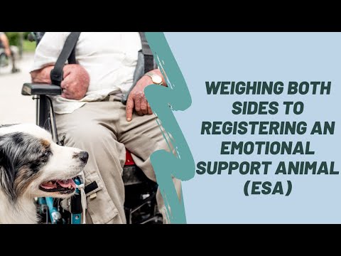 Weighing both sides to registering an Emotional Support Animal (ESA)