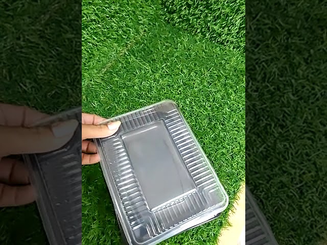Plastic Disposable Tray - 30 Mm Pasta Tray with Lid Manufacturer from ...