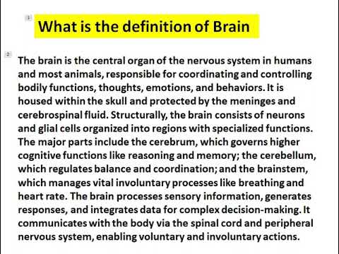 what is the definition of brain