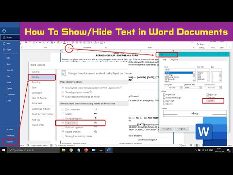 How to Show and Hide Text in Microsoft Word Tutorial